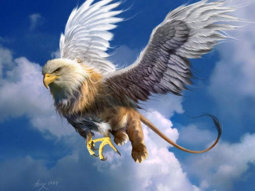 Is That Cool?: Gryphon!